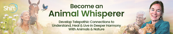 Penelope Smith's Animal Communication Training