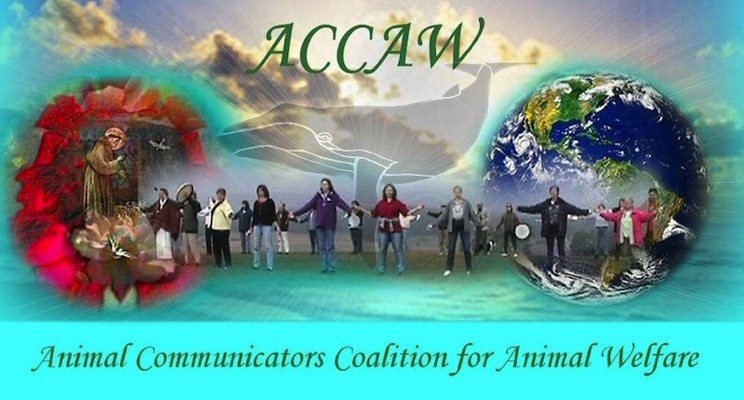 Animal Communication | Penelope Smith Animal Talk