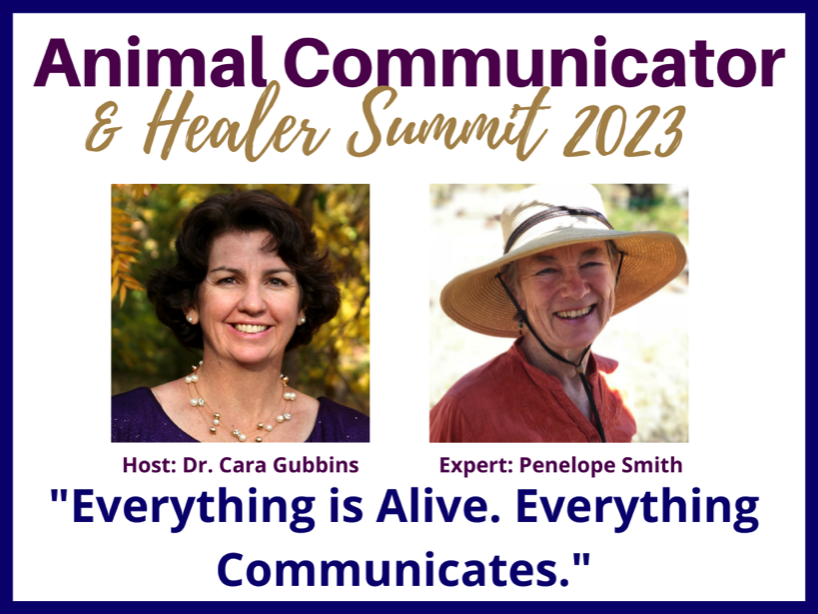 Animal Communication | Penelope Smith Animal Talk