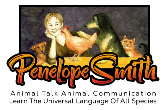 Animal Communicator Directory | Animal Talk